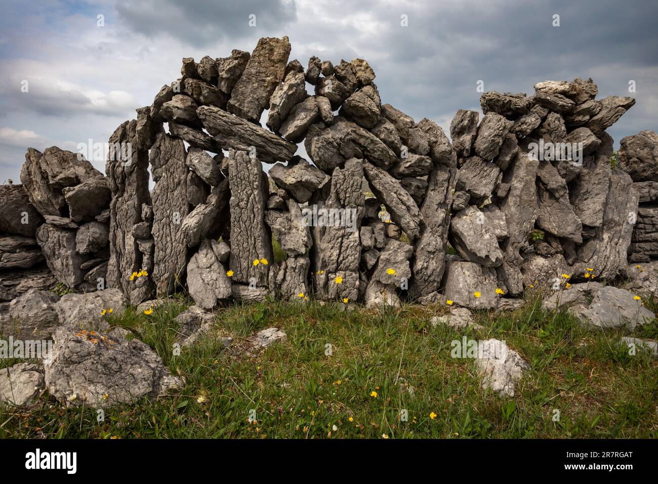 Burren national park flowers hi-res stock photography and images - Alamy