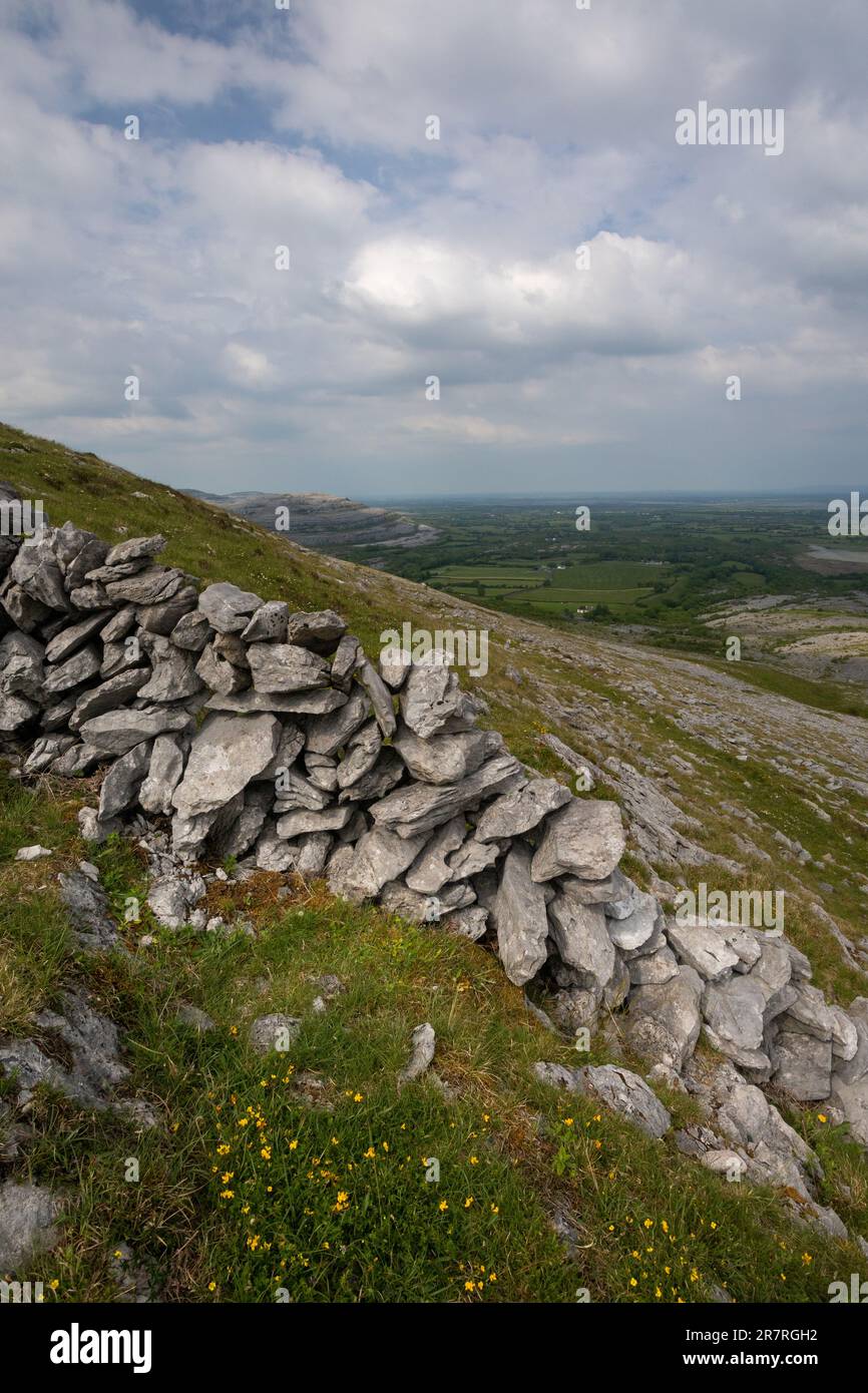Burren national park flowers hi-res stock photography and images - Alamy