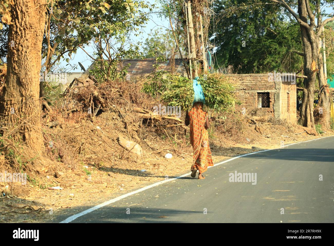 December 23 2022 - Vadodara (Baroda) district, Gujarat in India: Indian ...