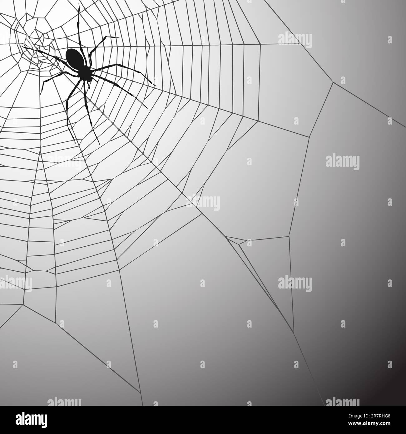 A Spiderweb Vector Illustration with Spider Stock Vector Image & Art ...