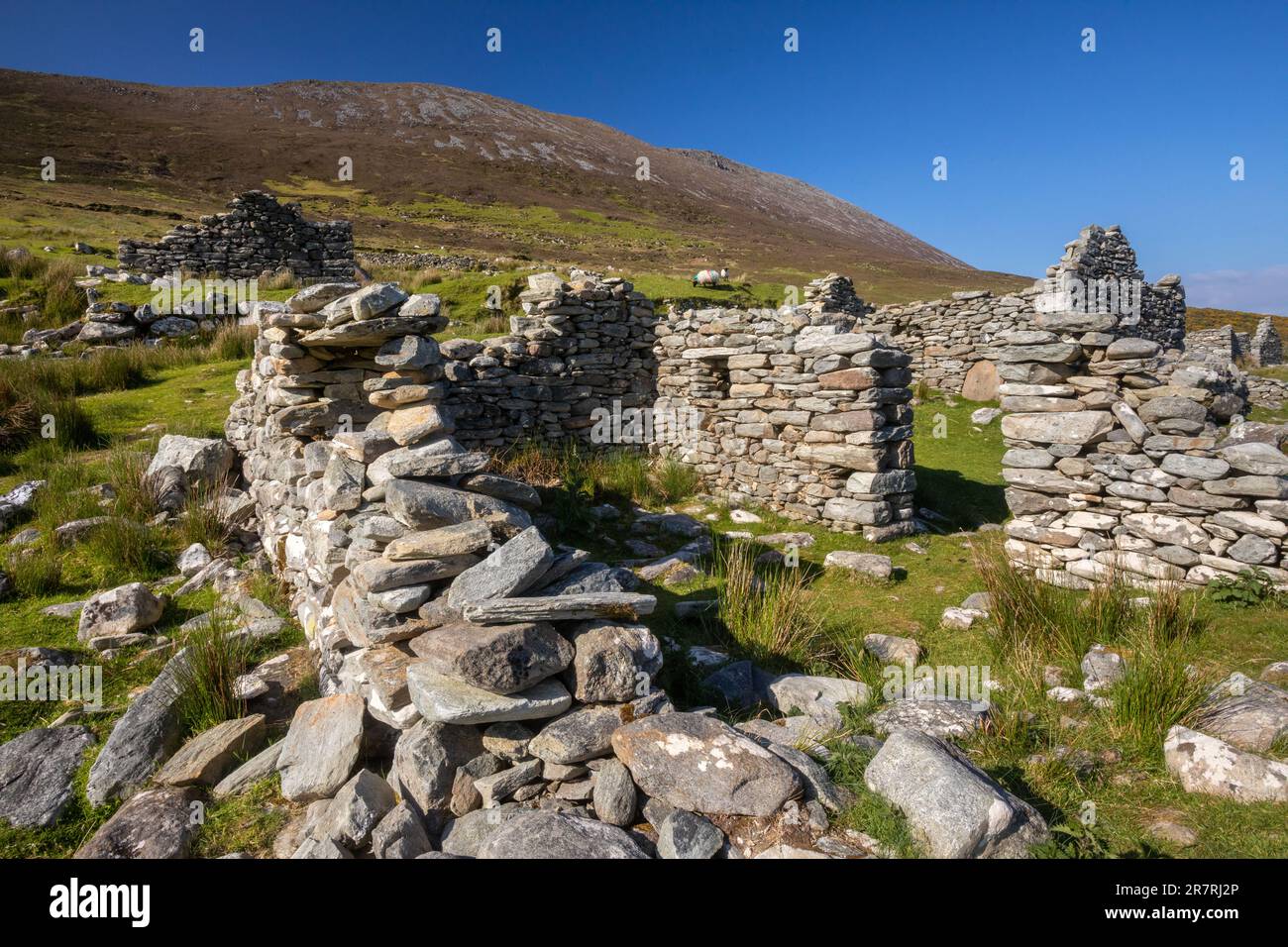 Slievemore (Achill Island), County Mayo, Ireland Stock Photo - Alamy