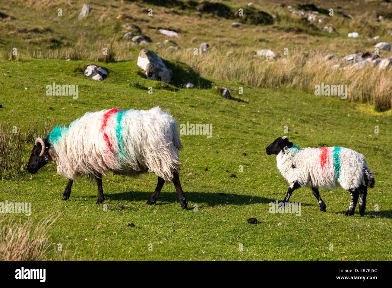 Slievemore (Achill Island), County Mayo, Ireland Stock Photo - Alamy