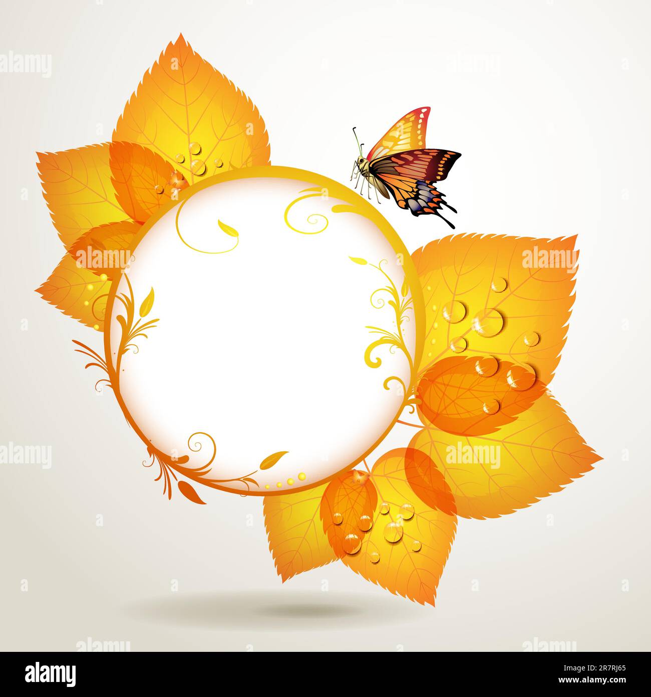 Banner design with leaf and butterfly Stock Vector Image & Art - Alamy