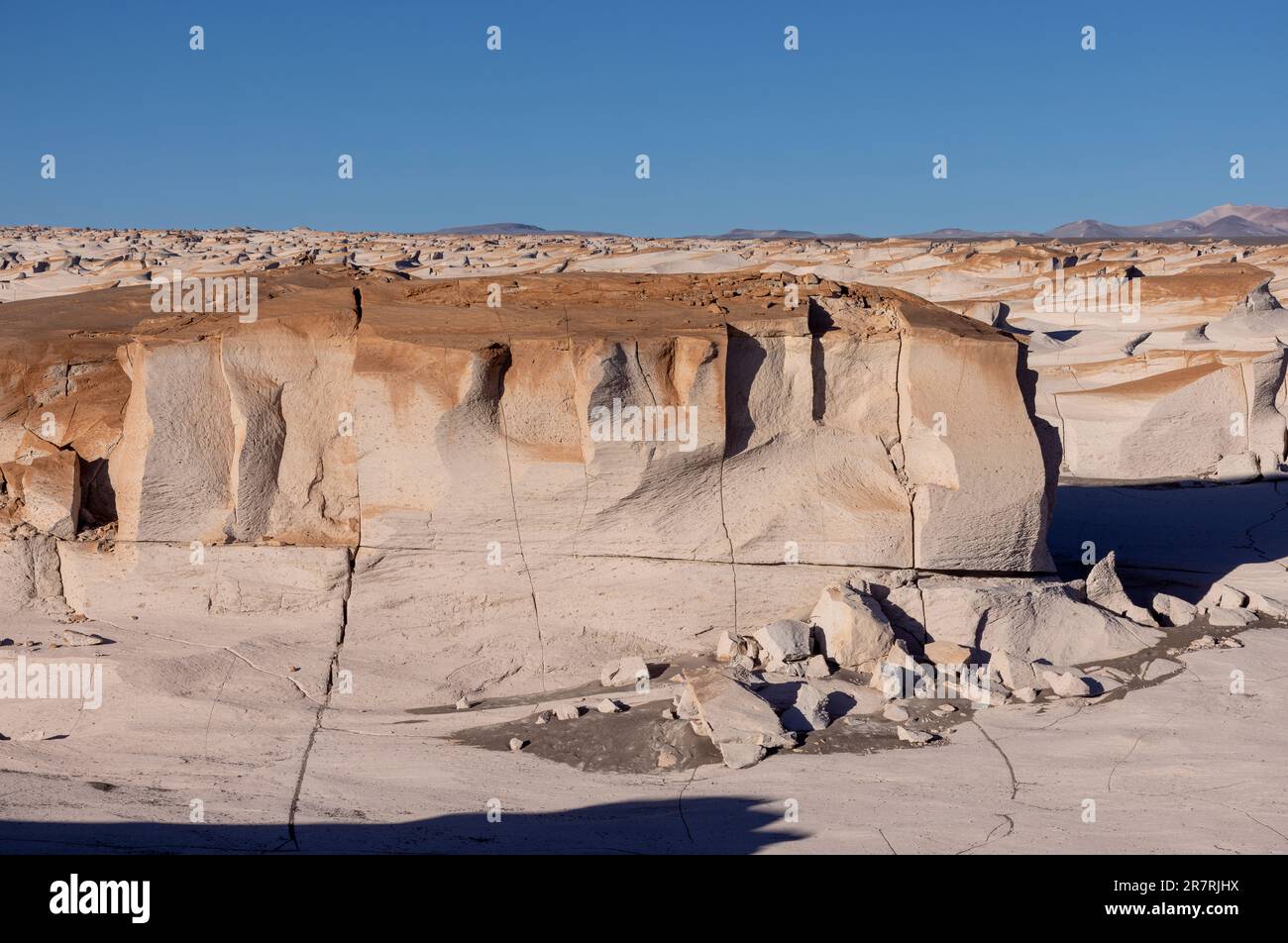 Campo de Piedra Pomez - a bizarre but beautiful landscape in the ...