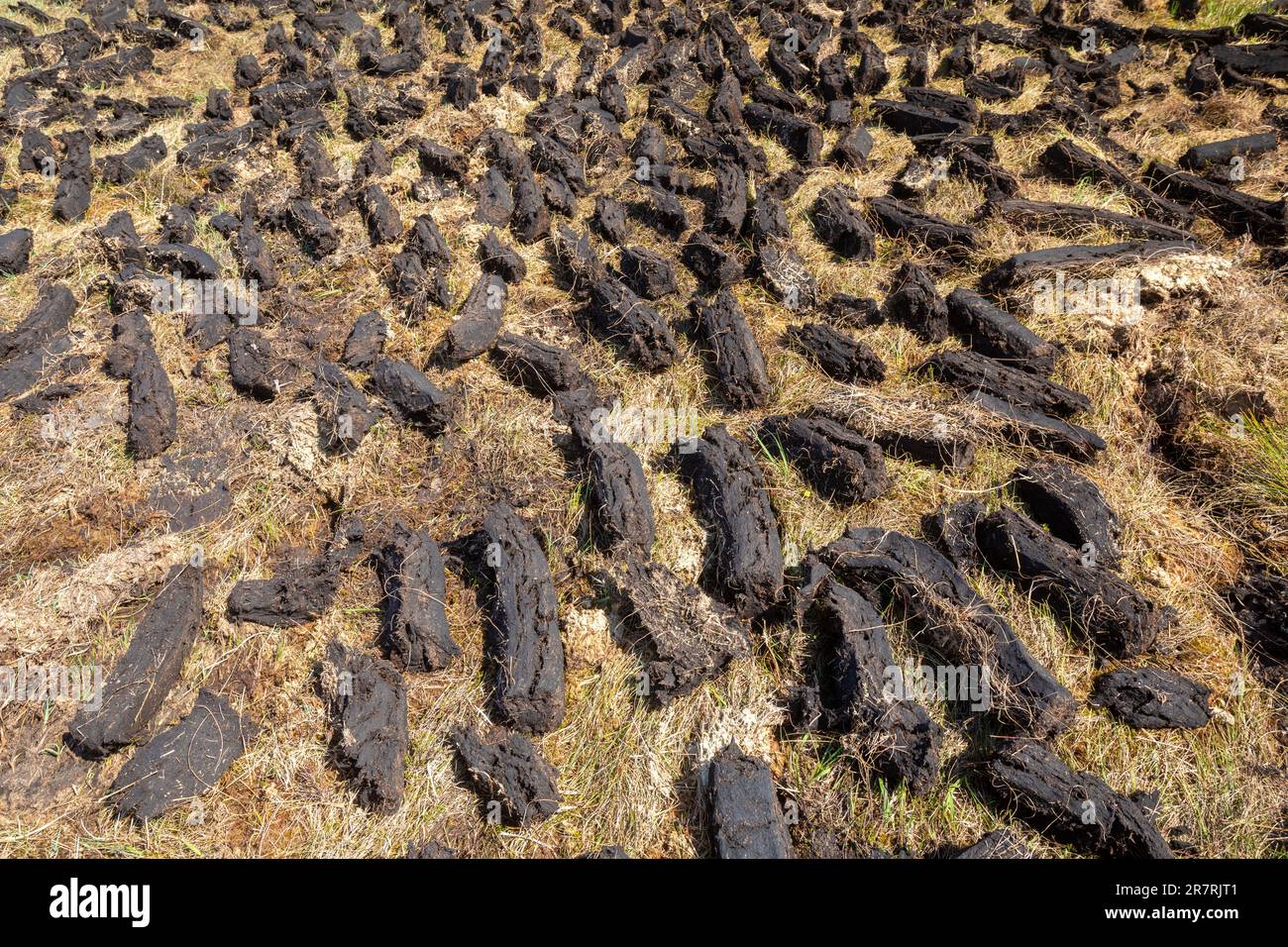 Turf cutting achill mayo ireland hi-res stock photography and images ...