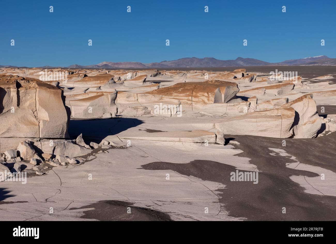 Campo de Piedra Pomez - a bizarre but beautiful landscape in the ...