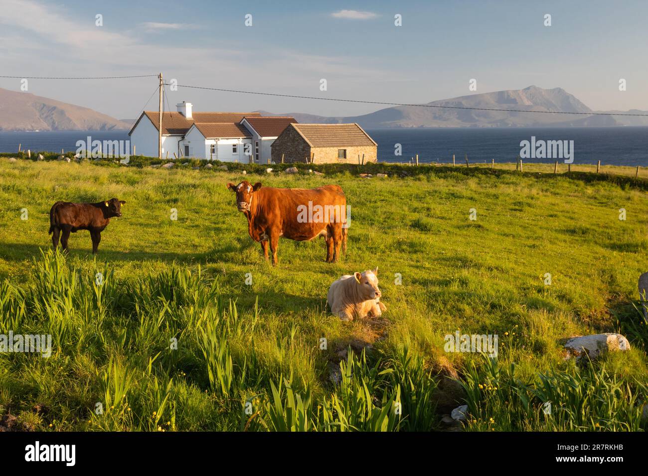 County mayo cottage hi-res stock photography and images - Alamy