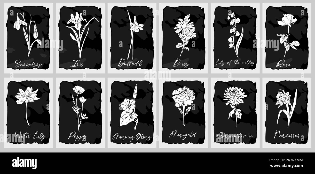 Botanical set of birth month flowers vector art Stock Vector Image ...