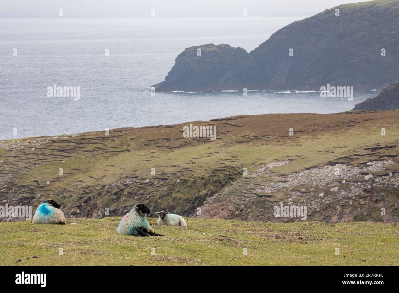 Erris peninsula hi-res stock photography and images - Alamy