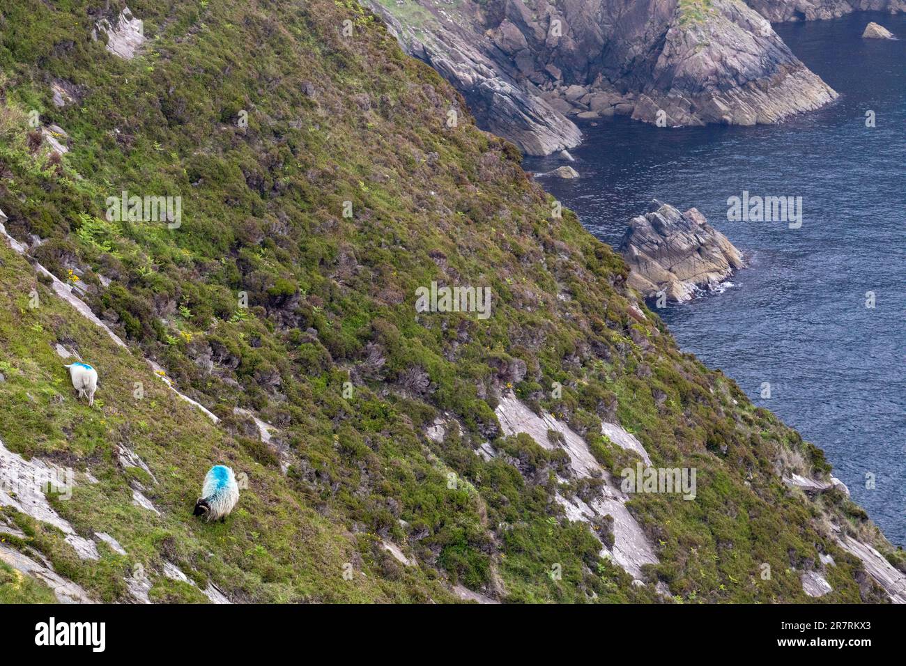 Erris peninsula hi-res stock photography and images - Alamy