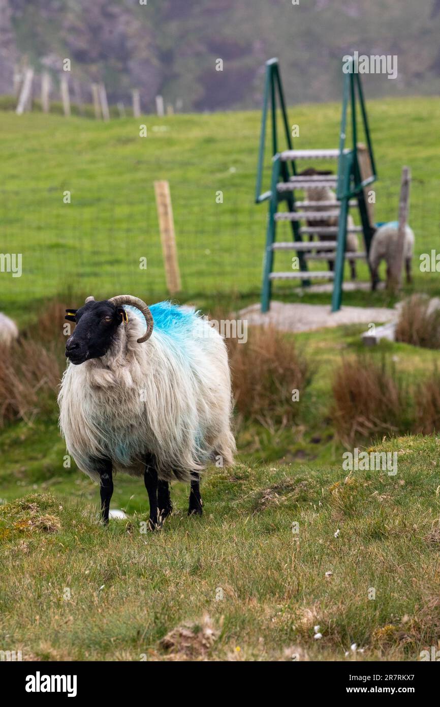 Erris peninsula hi-res stock photography and images - Alamy