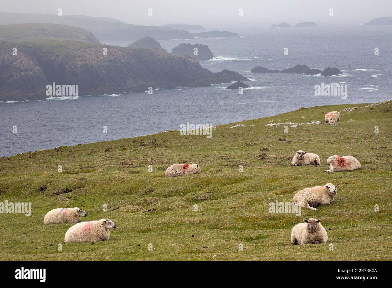 Erris hi-res stock photography and images - Alamy