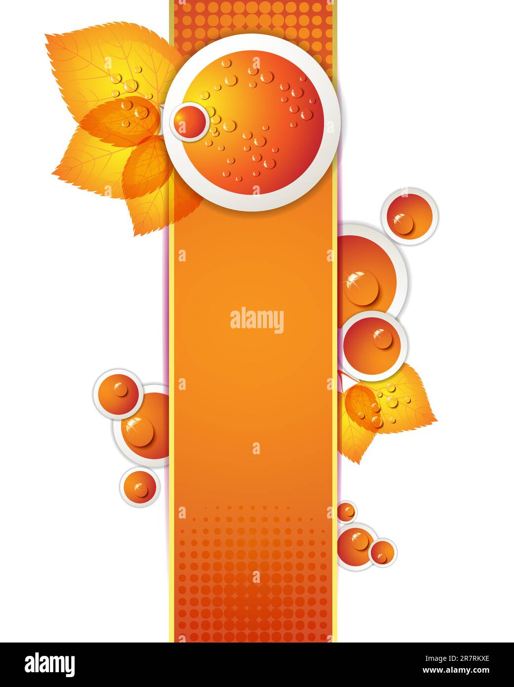 Banner design with leaf hi-res stock photography and images - Alamy