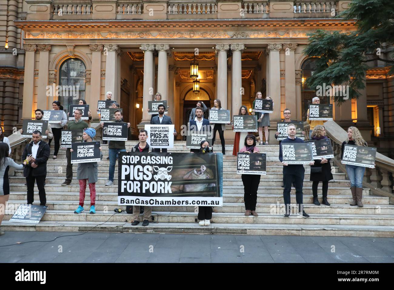 Pig protest australia hi-res stock photography and images - Alamy