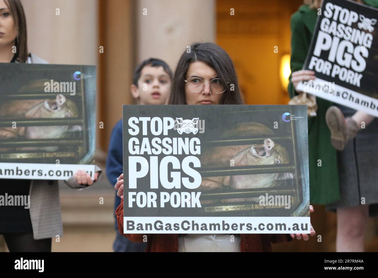 Pig protest australia hi-res stock photography and images - Alamy