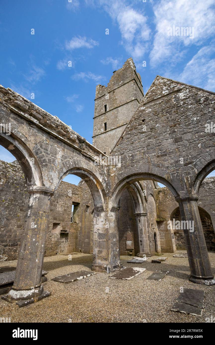 Mayo abbey hi-res stock photography and images - Alamy