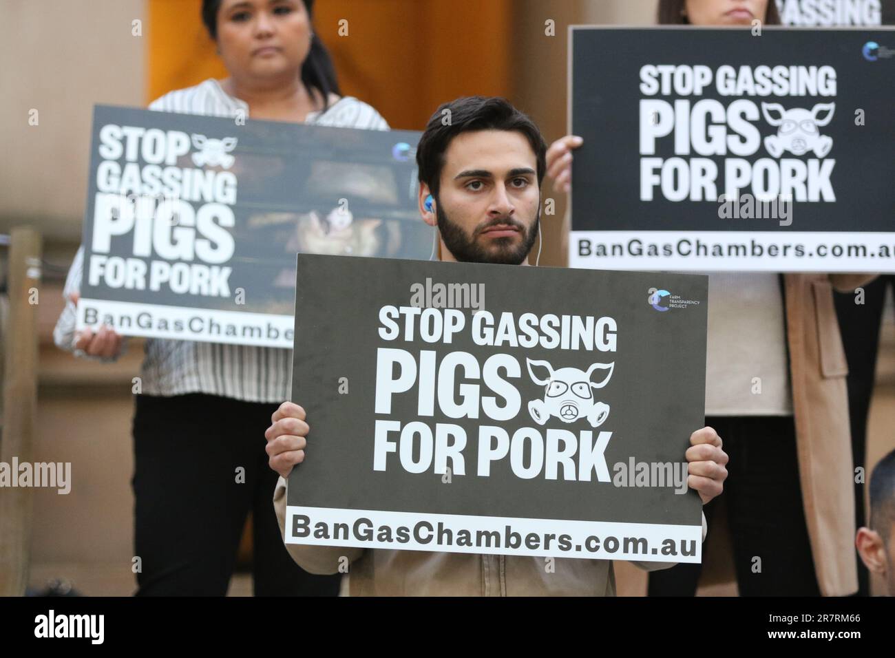 Pig protest australia hi-res stock photography and images - Alamy