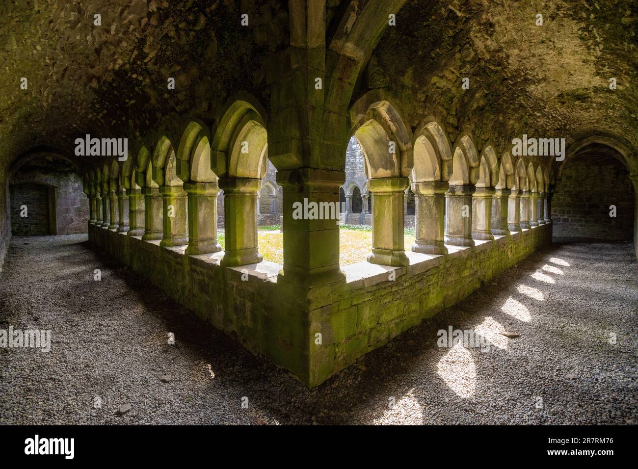 Moyne abbey hi-res stock photography and images - Alamy
