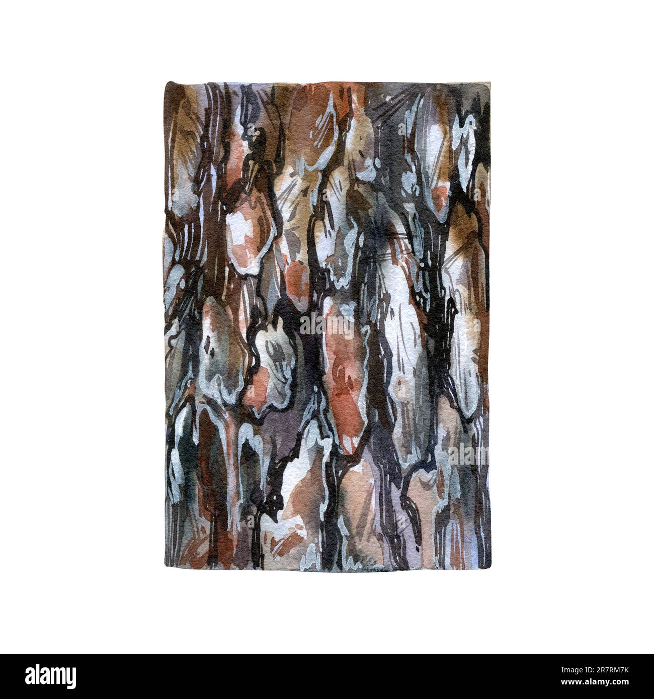 Realistic wood texture bark isolated on white background. Watercolor ...