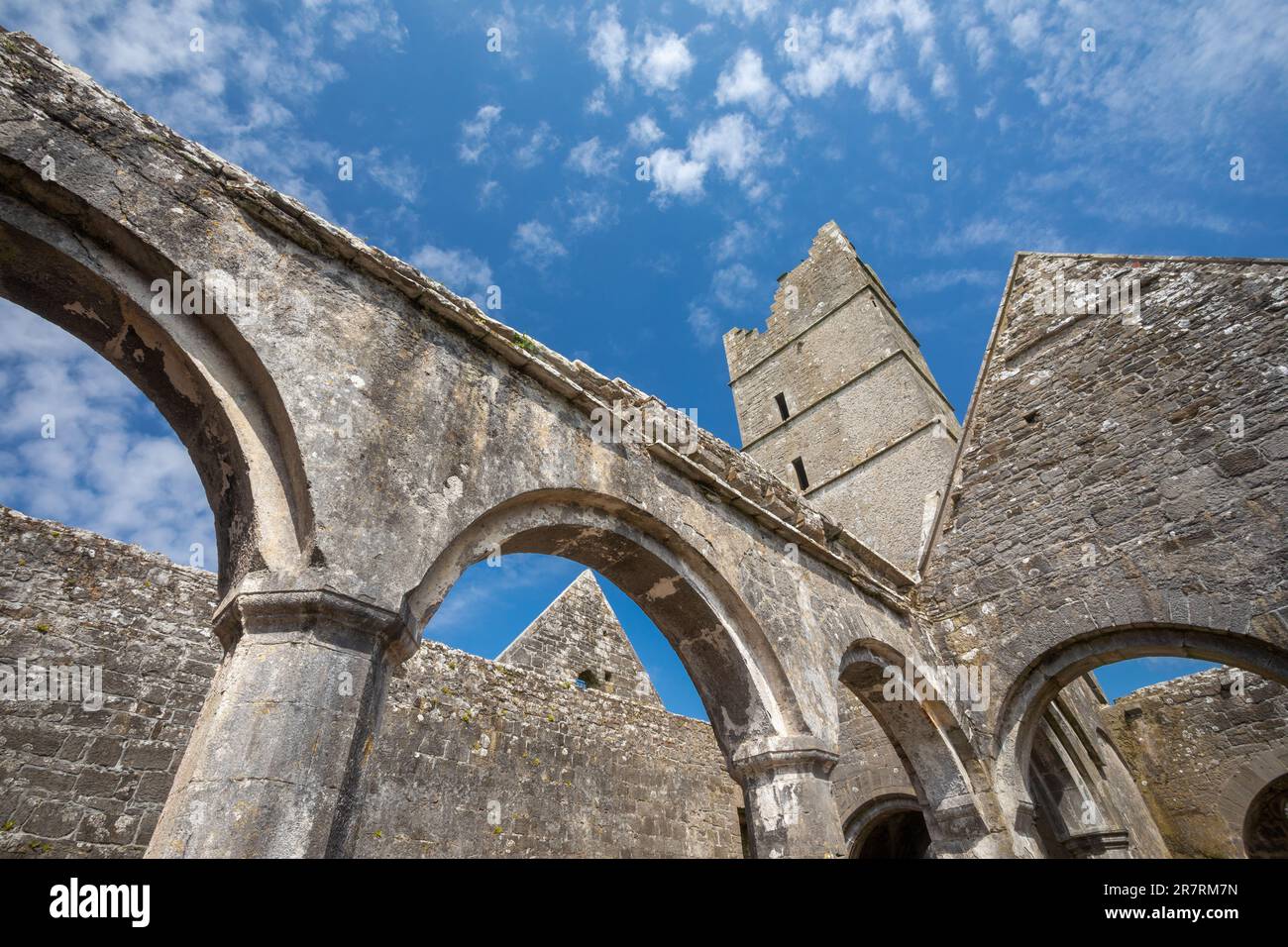 Moyne abbey hi-res stock photography and images - Alamy