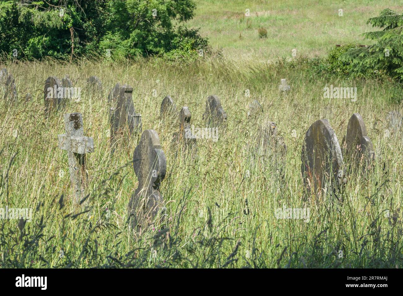 Forgotten corner of a churchyard / graveyard. Metaphor overgrown by ...