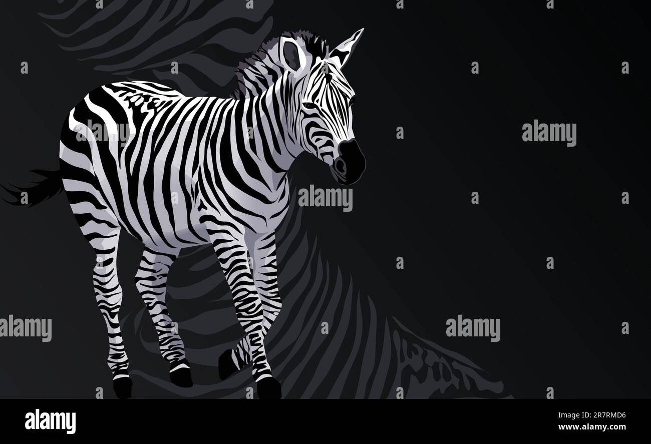Abstract background illustration with zebra Stock Vector Image & Art ...