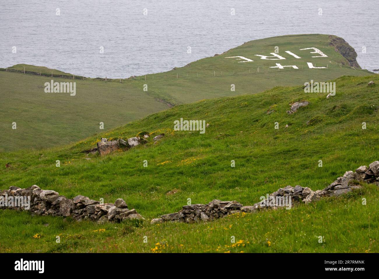 Ww2 and neutrality hi-res stock photography and images - Alamy