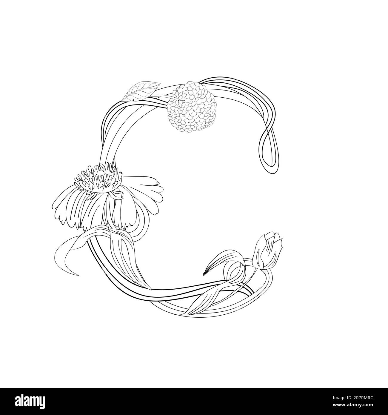 Floral font, Letter C Stock Vector Image & Art - Alamy