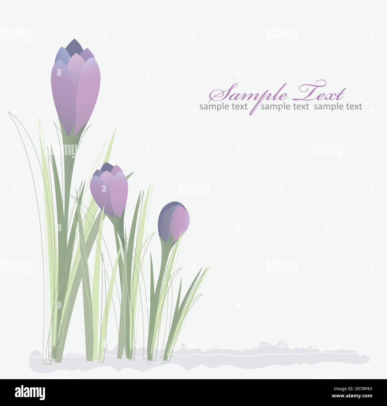 Crocus spring Stock Vector Images - Alamy