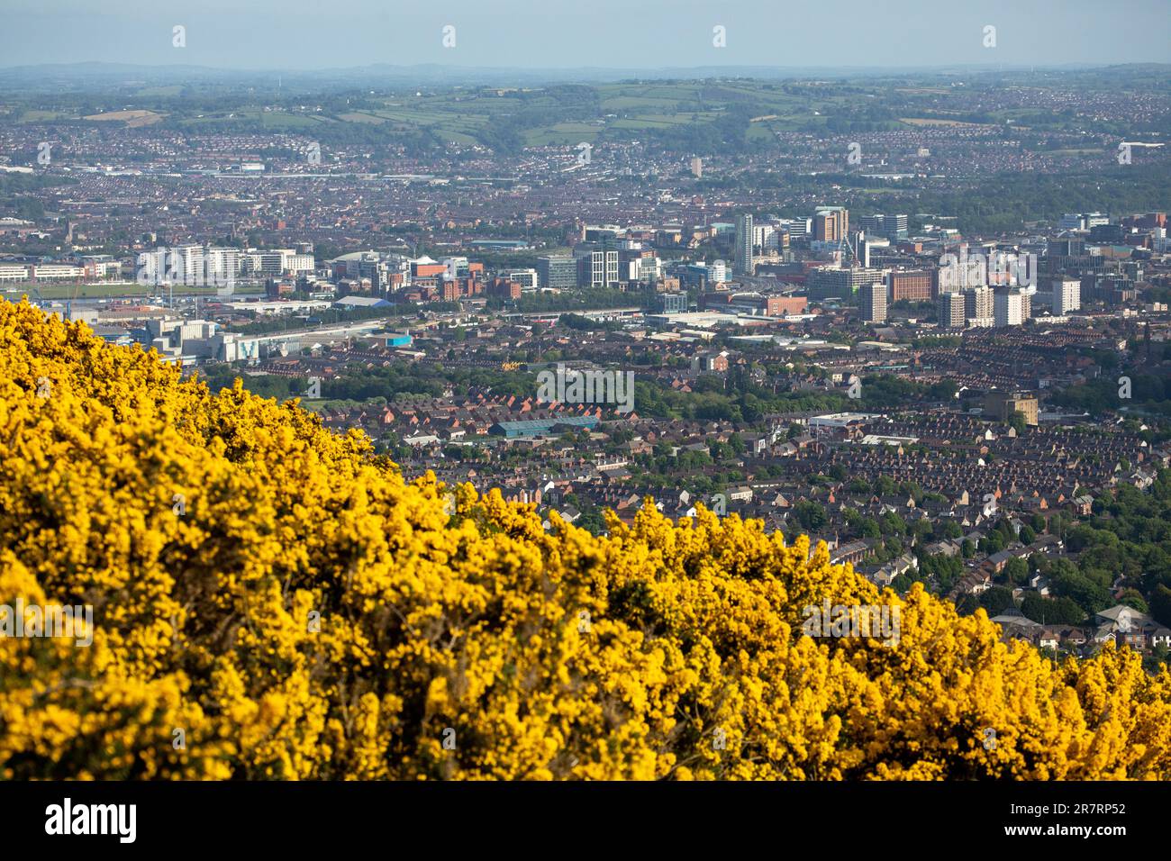 Belfast skyline hi-res stock photography and images - Alamy