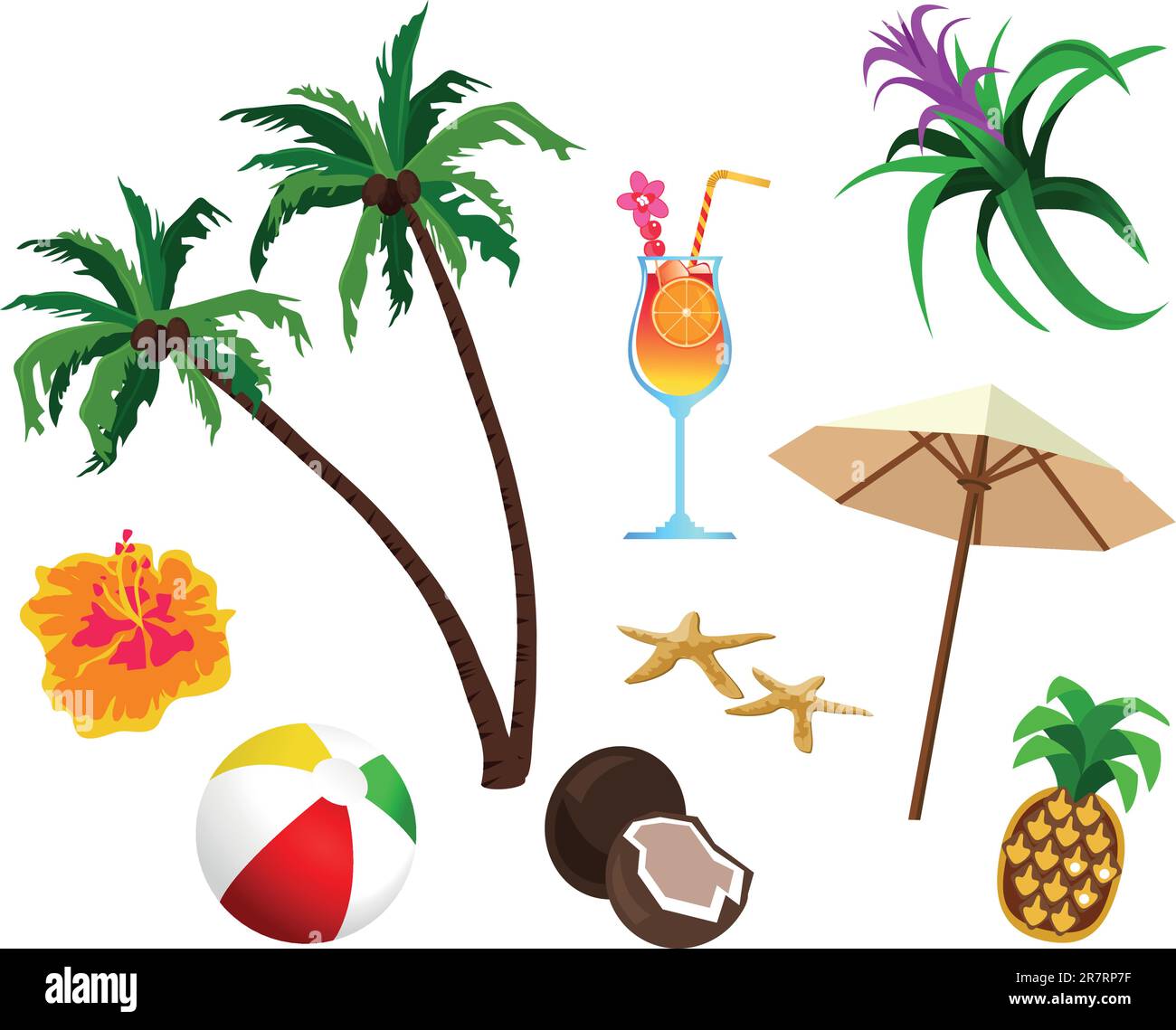 Tropical themed objects isolated on white background Stock Vector Image ...