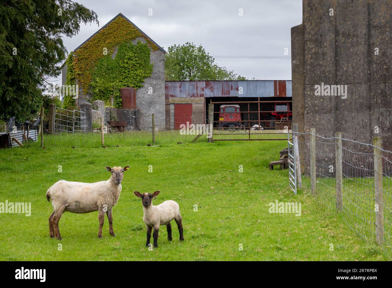 Lowery fence hi-res stock photography and images - Alamy