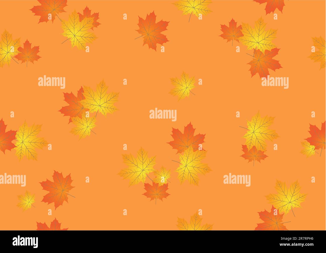 Seamless Background From Autumn Maple Leaves Vector Stock Vector Image