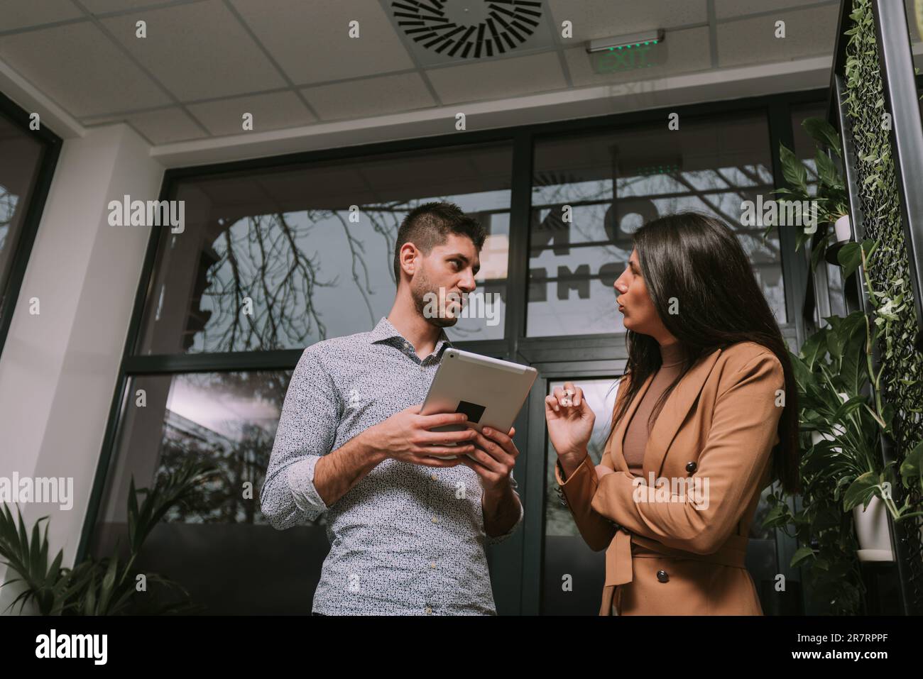 Brunette businesswoman explaining something to her male colleague while ...