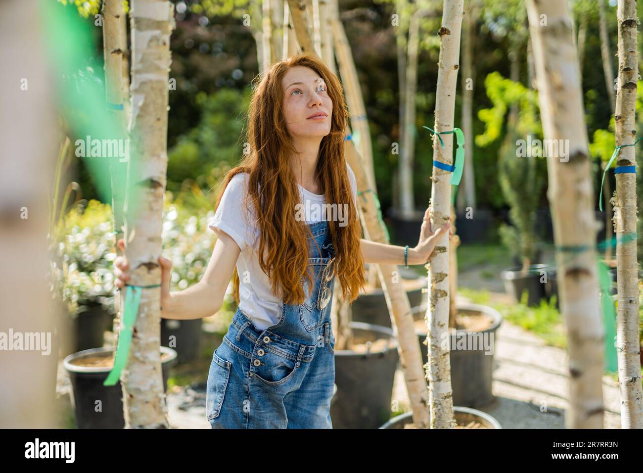 Female standing between trees hi-res stock photography and images - Alamy