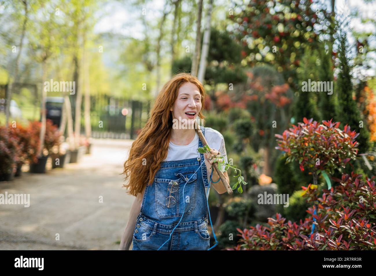 Beautiful redhead female gardener, smiling and carrying digger Stock ...