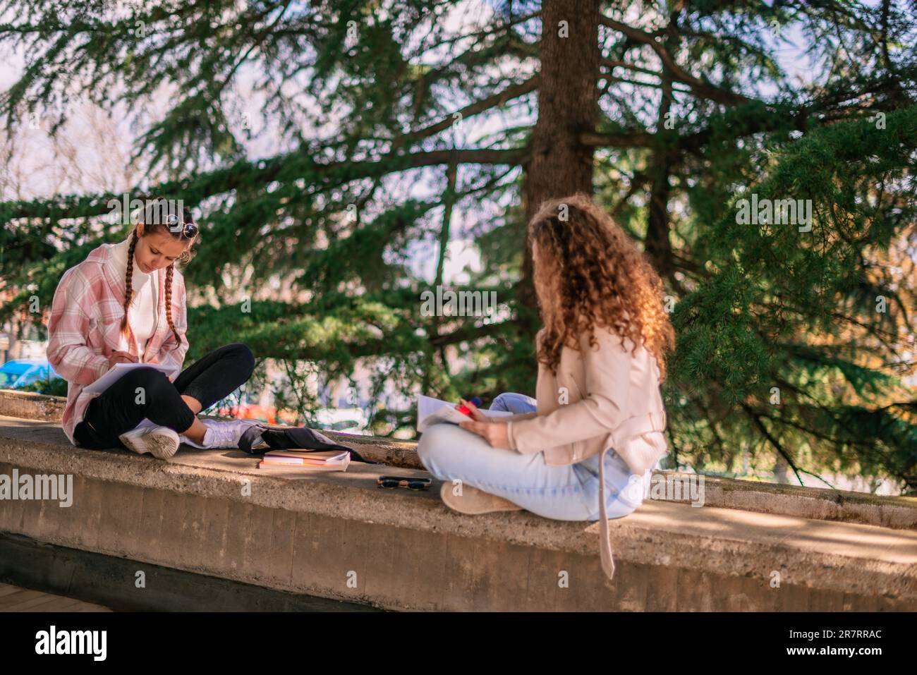 Young, stylish, school girls writing homework together after school ...