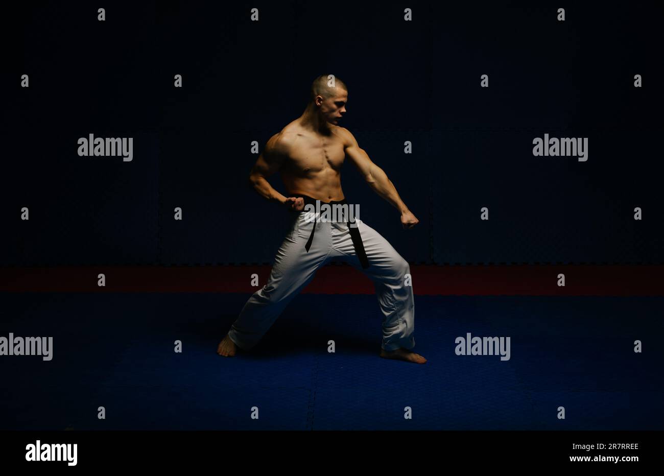 Handsome young man doing the Gedan Barai pose at the karate studio ...