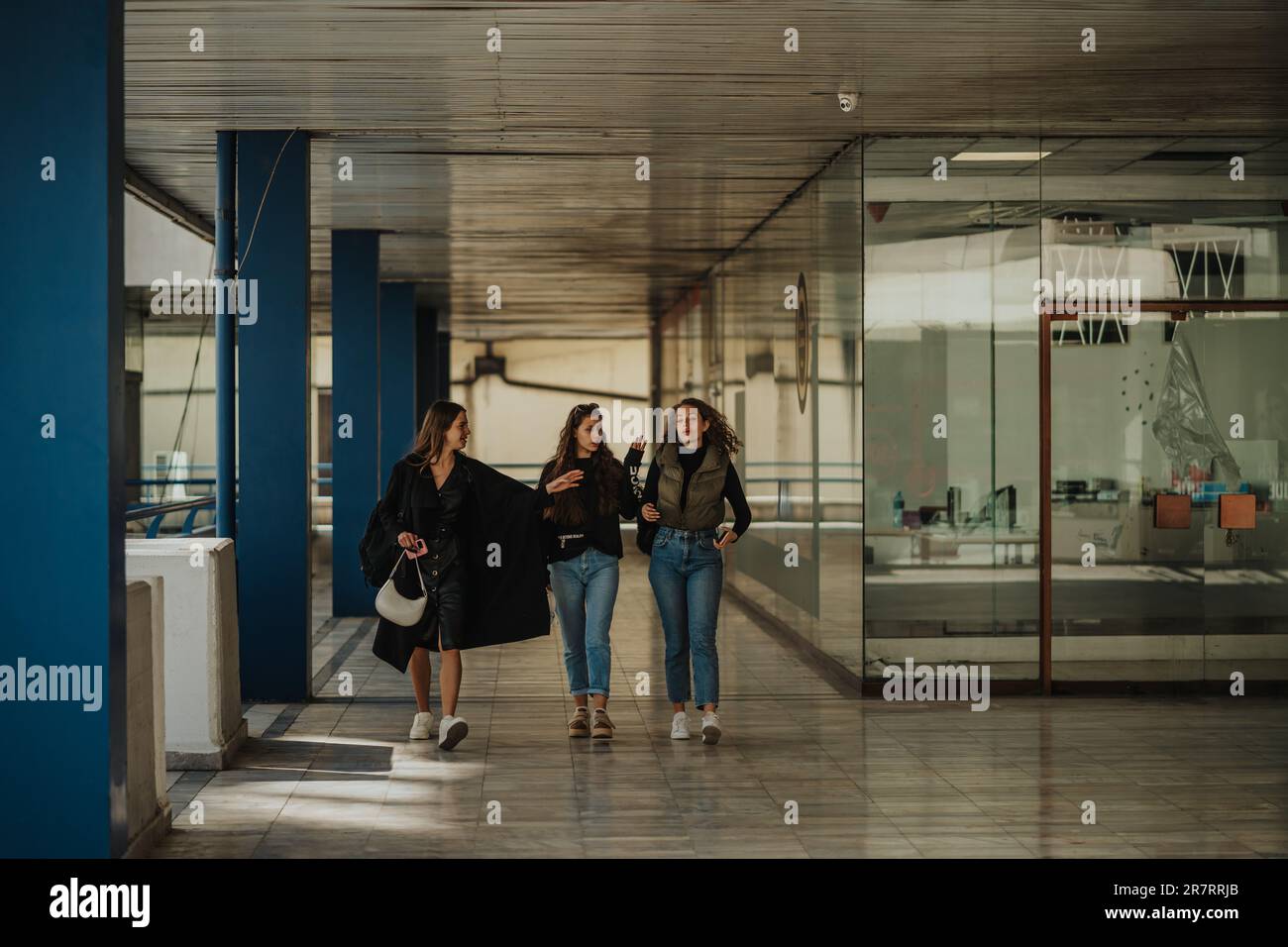 Lovely brunette girl (left) trying to calm her friends down after they ...