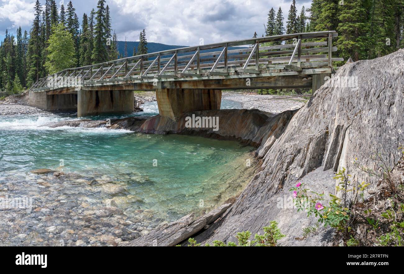 Pedestrian footbridge over the Amiskwi river in Yoho National Park ...