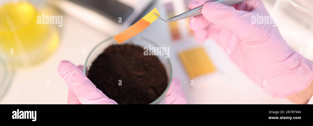 Laboratory analysis of soil contamination and test strip Stock Photo ...