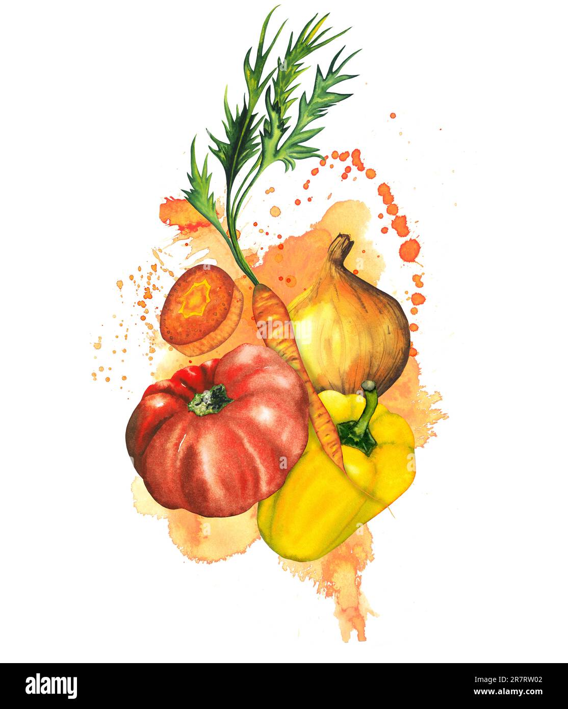 Watercolor vegetables composition with tomato, cut carrot, bell paper ...