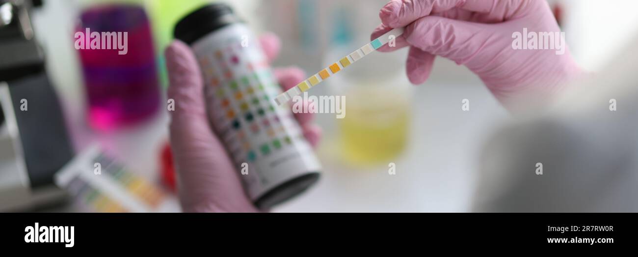 Chemist scientist holding ph test in hands closeup. Analysis in ...