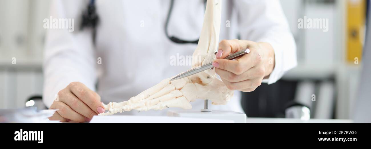 Orthopedic doctor explains physiology of bone model by pointing to ...