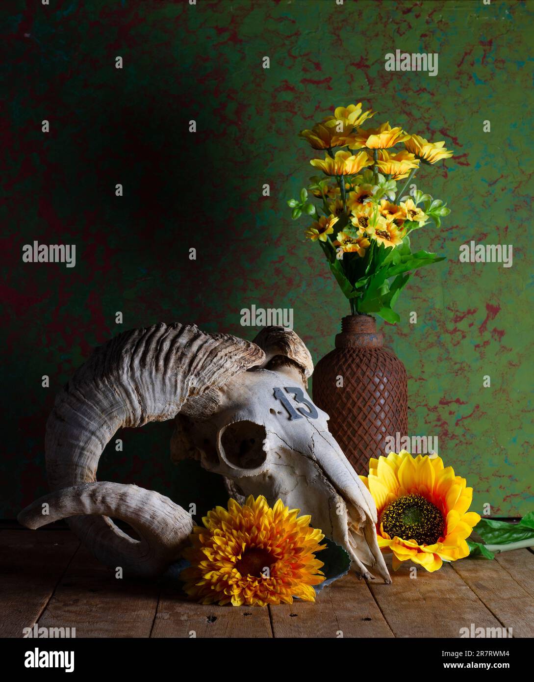 Skeleton still life hi-res stock photography and images - Alamy