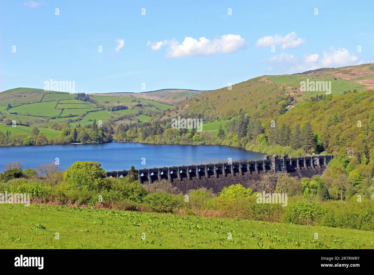 Lake Vyrnwy RSPB Reserve, Powys, Wales, UK Stock Photo - Alamy