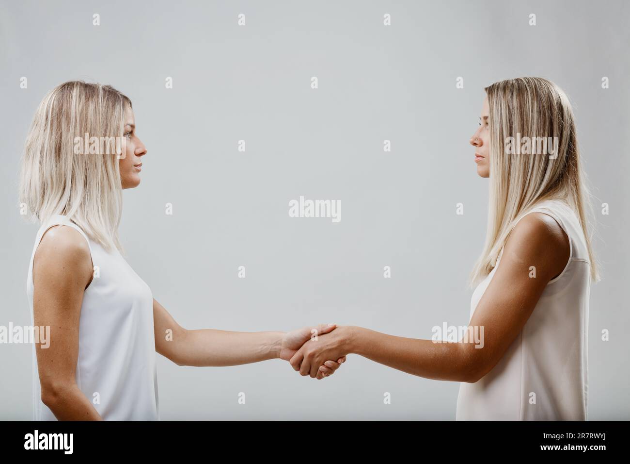 Handshake seals a deal between two capable blonde businesswomen ...