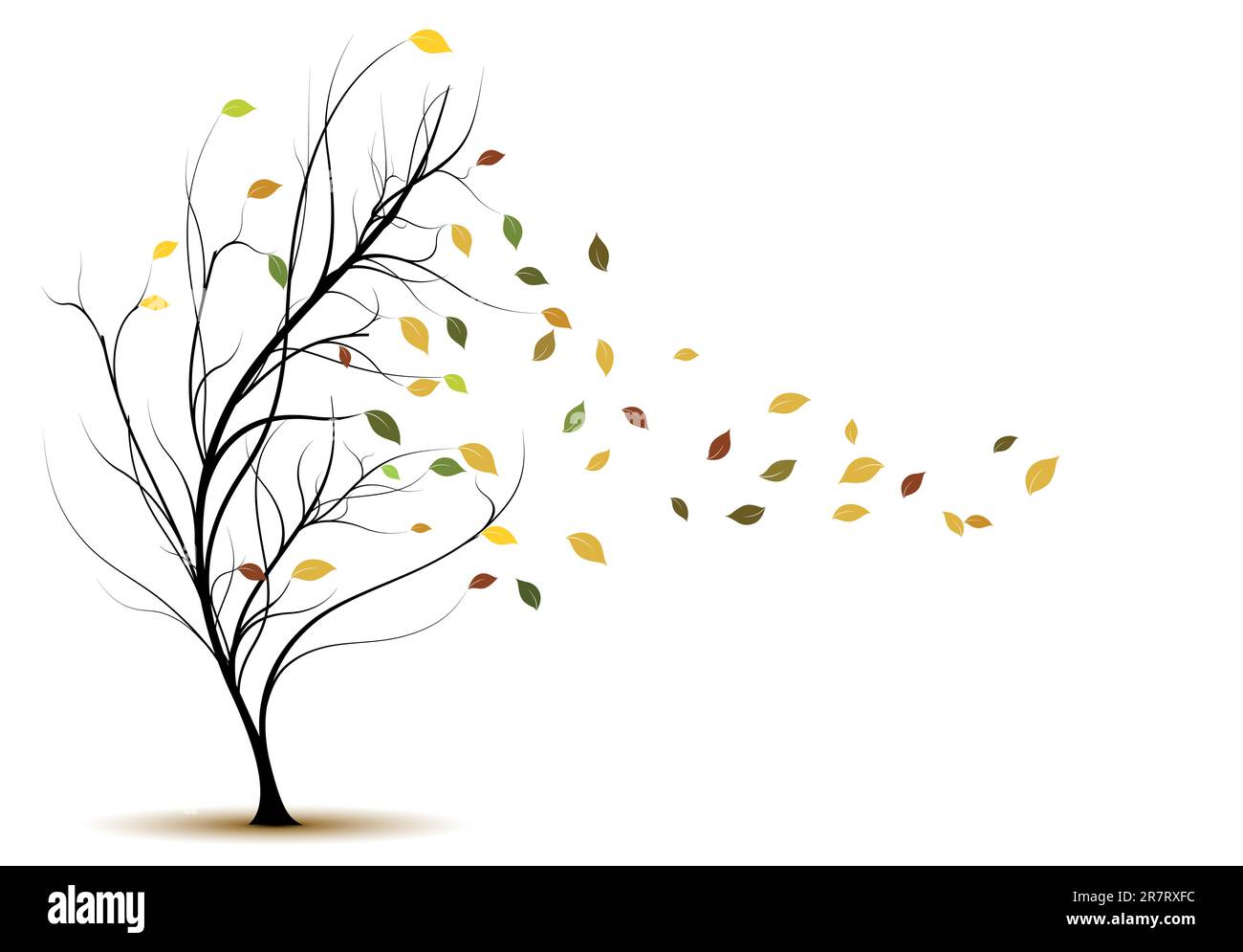 Yellow tree in wind fall Stock Vector Images - Alamy