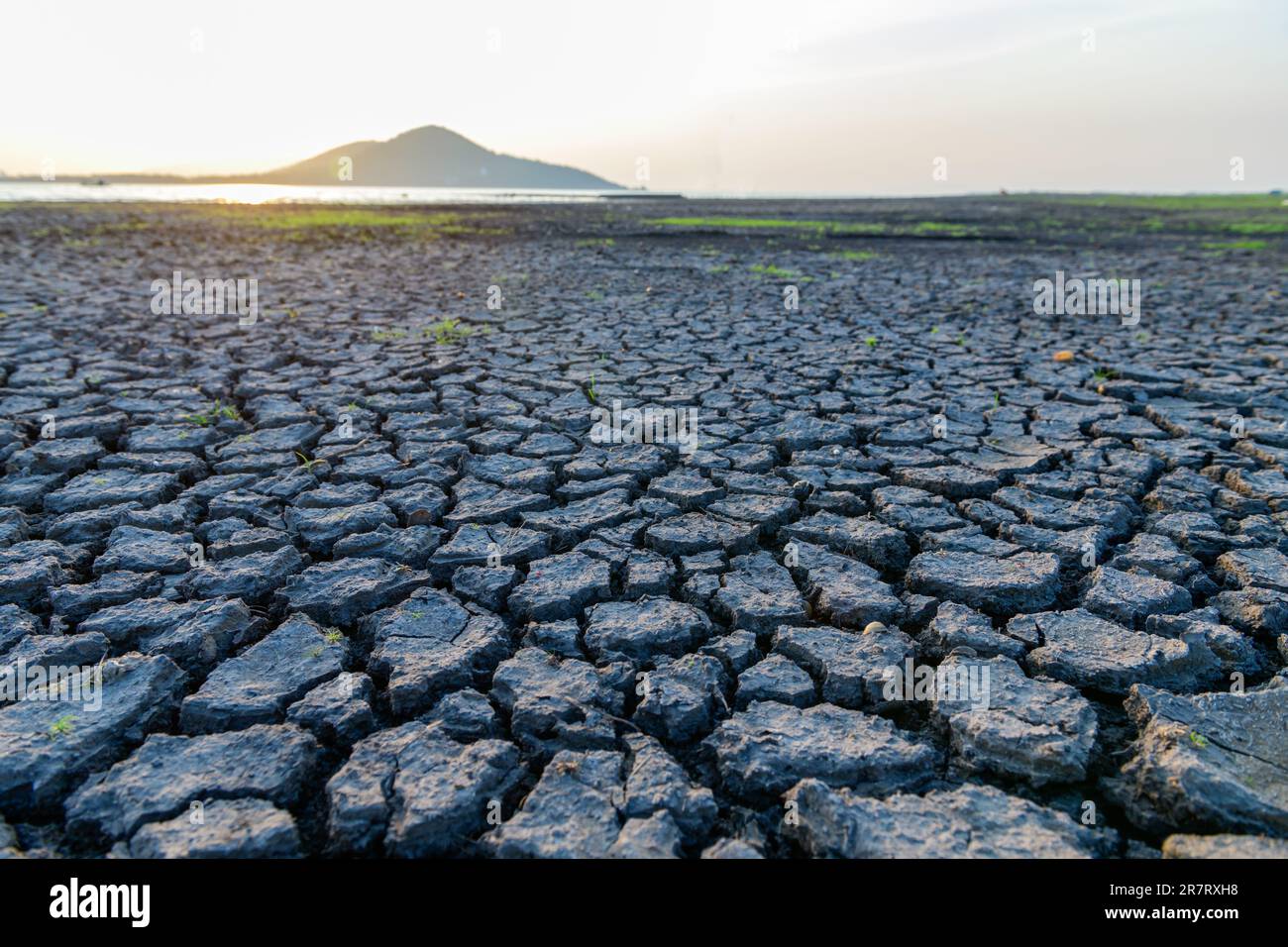 Cracked ground,Cray Soil,Mud Crack.Cracks on the surface of the earth ...