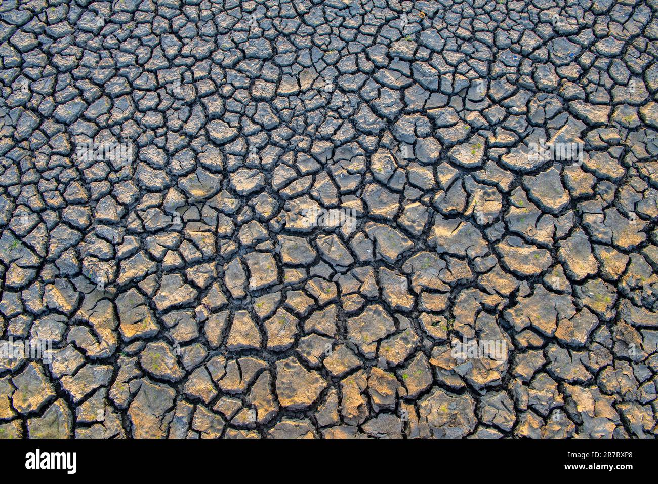 Cracked ground,Cray Soil,Mud Crack.Cracks on the surface of the earth ...